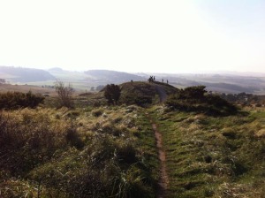 Mols Bjerge - Guide til de smukke bjerge ved Mols | Godtur.dk