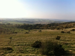 Mols Bjerge - Guide til de smukke bjerge ved Mols | Godtur.dk